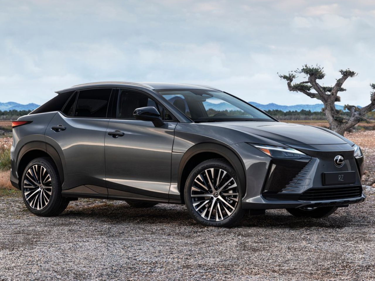 This Months Top Specials - Motor Source Group